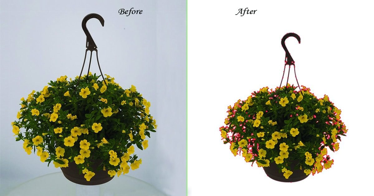 Hand Drawn Clipping Path | Clipping Path Services - Edit Picture Online